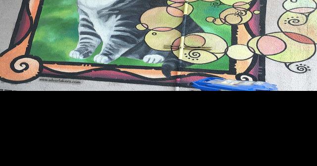 50 years later, Room 8 Cat remains a beloved school mascot and memory ...