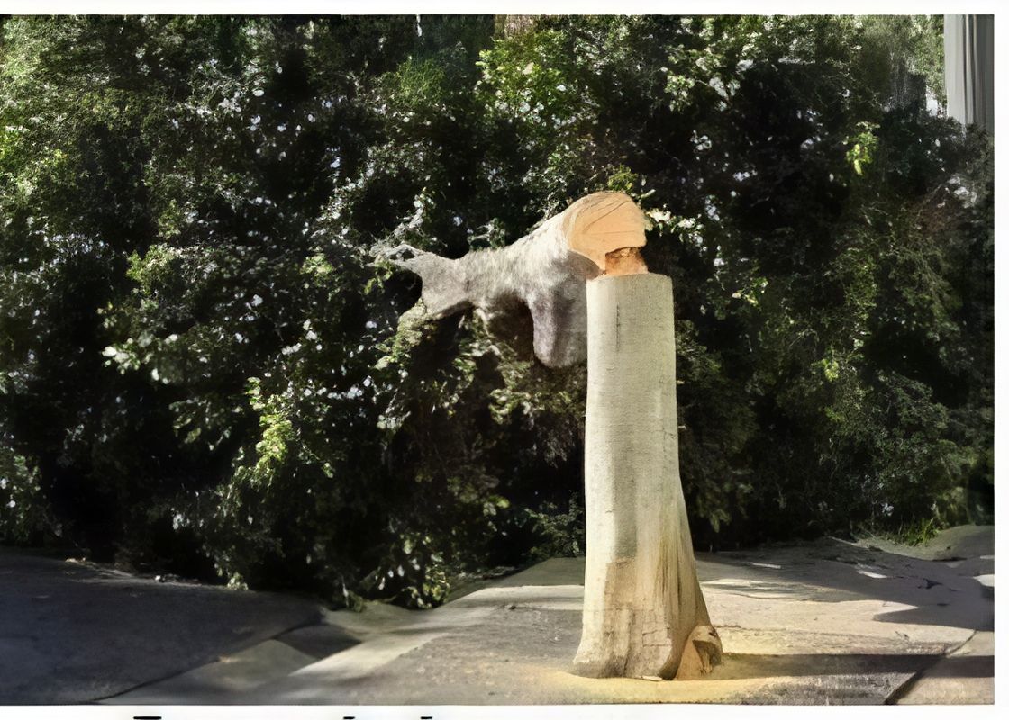 Police arrest man suspected of cutting trees in Downtown L.A. and ...