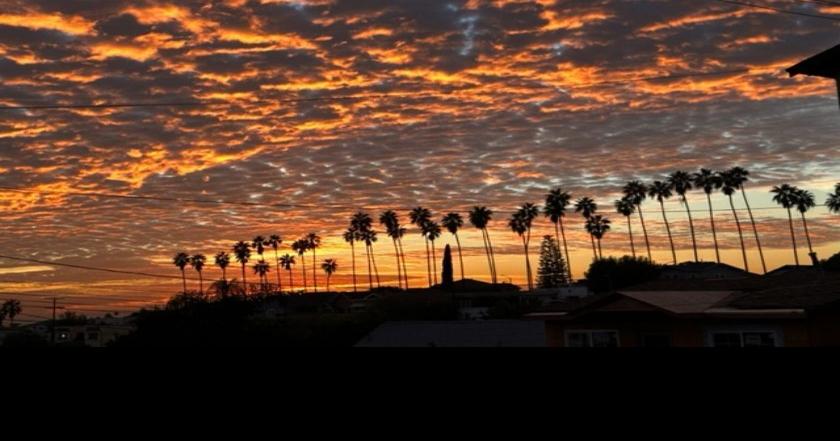 Winter Sunset | Echo Park News | theeastsiderla.com