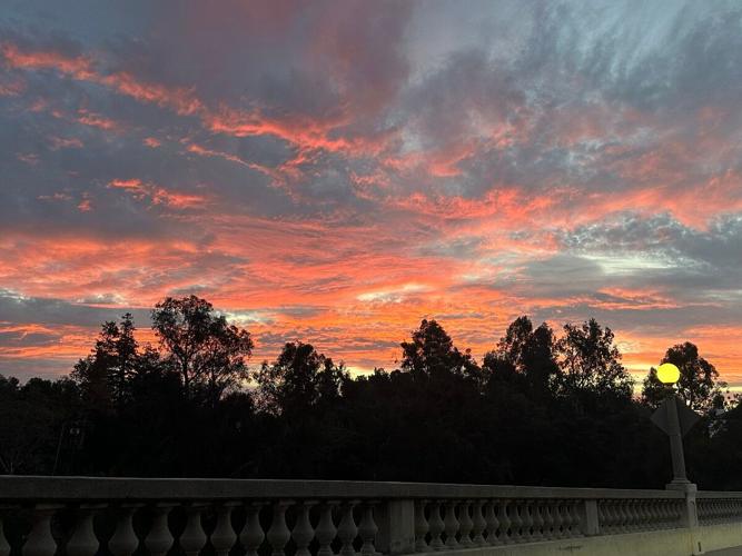 Future Firefighters | Daily Digest Morning Edition | theeastsiderla.com