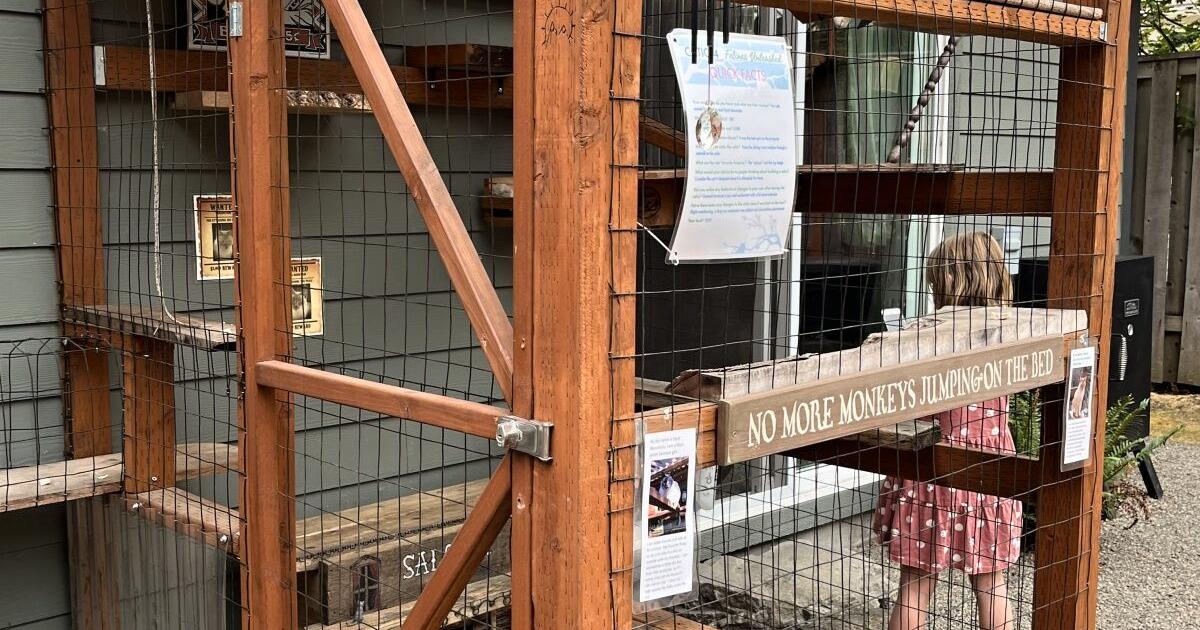 Show us your catios | Pets And Wildlife | theeastsiderla.com