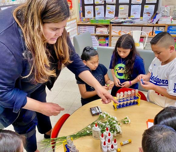 STEM Star Teacher Inspires at Gates Elementary | Schools ...