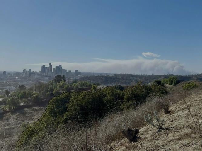 Pacific Palisades fire erupts amid strong Santa Ana winds | News ...