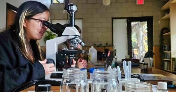 Explore Soil Secrets: LA Compost Microscopy | Montecito Heights News | theeastsiderla.com