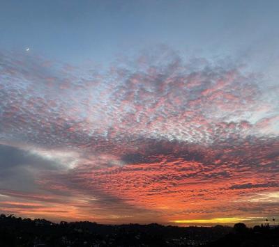 Neon Sunset | Mount Washington News | theeastsiderla.com