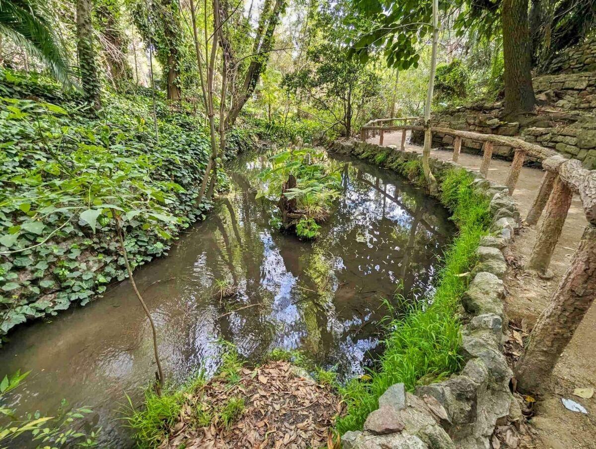 Fern Dell Revitalization: Hidden Waters Unleashed | Los Feliz News ...