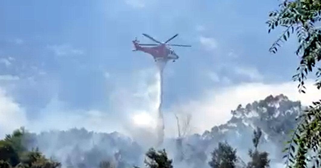Solano Canyon fire near Elysian Park extinguished | Solano Canyon News ...