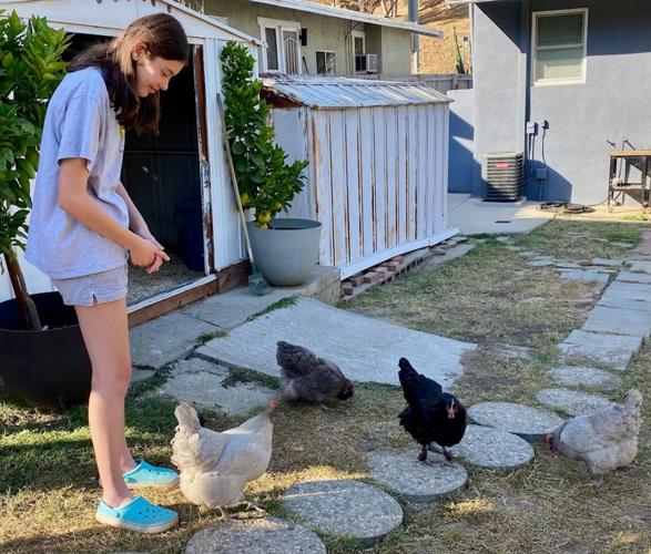 Eagle Rock students grow urban agriculture skills with FFA | Schools ...