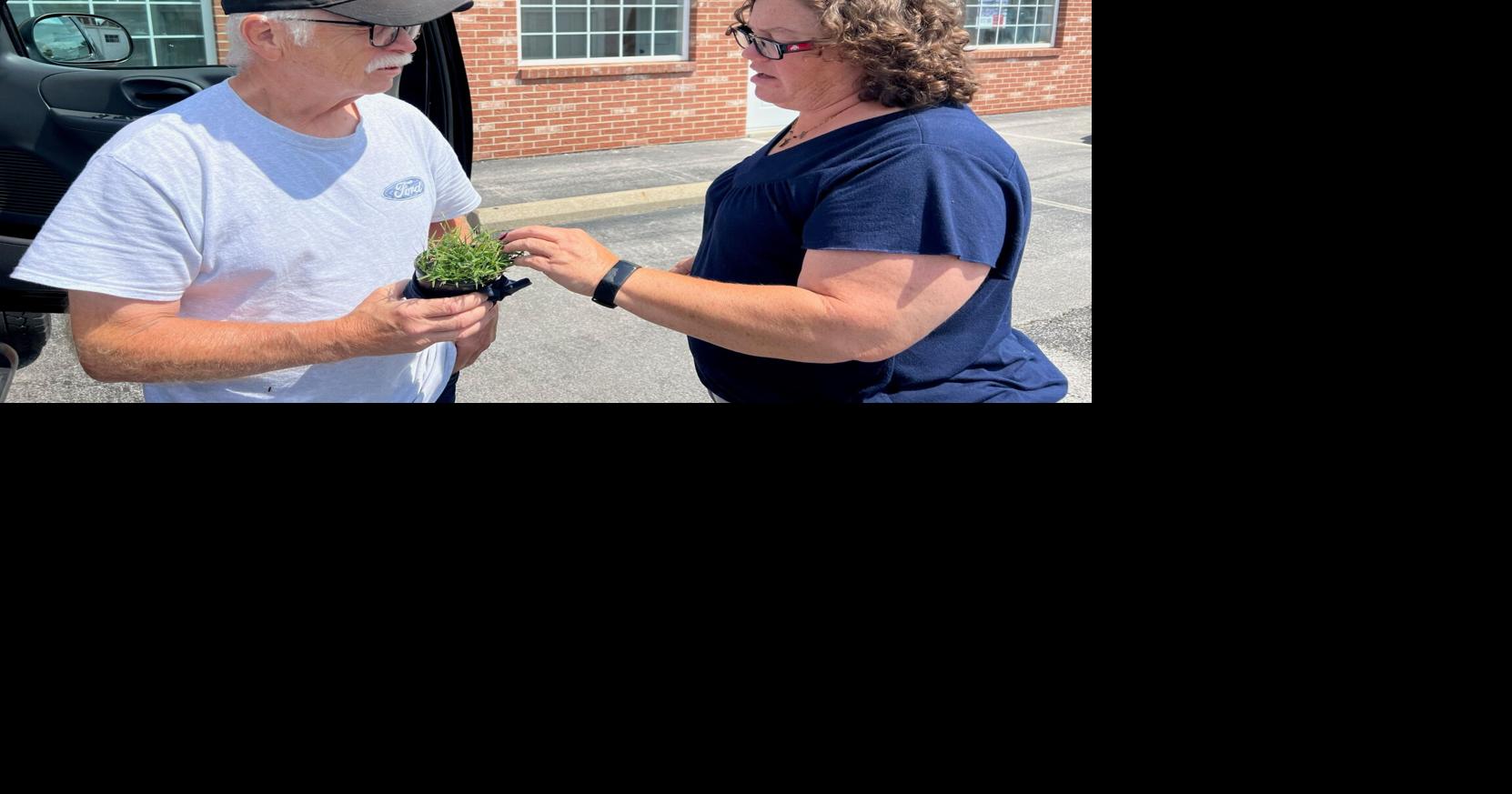 OSU Extension Office tracks insects, offers education | News ...