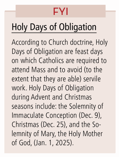 Holy Day of Obligation transferred to Dec. 9 | Venice ...