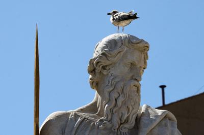 Forget the chimney -- everyone's watching the seagull watching the ...