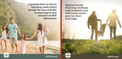 National NFP Awareness Week | Venice | thefloridacatholic.org