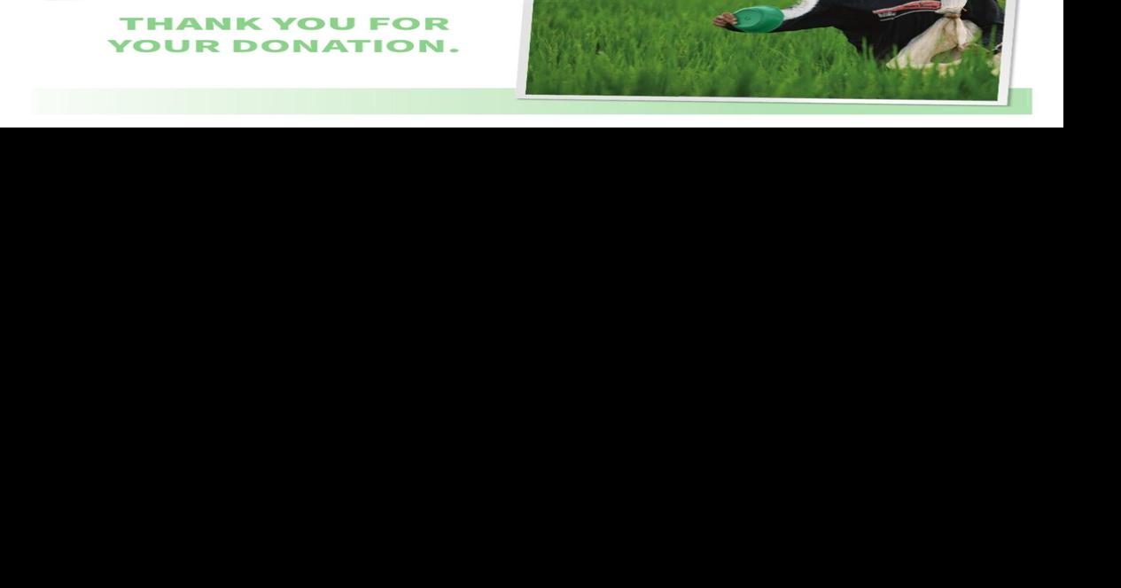 2024 LSR Drop Box Sign | | thefloridacatholic.org