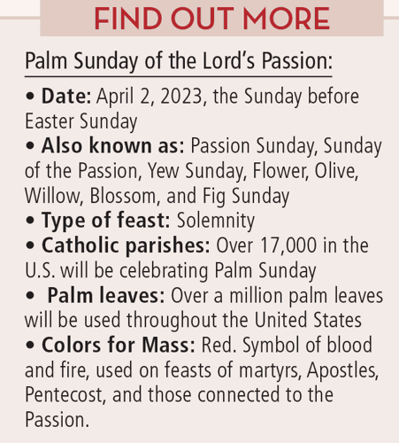Palm Sunday | Miami | thefloridacatholic.org