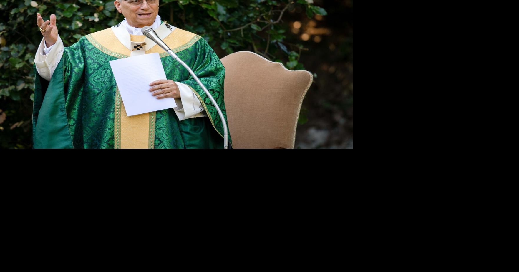 Pope Leo wears Chicago-made vestments to July 9 'care of creation' Mass ...