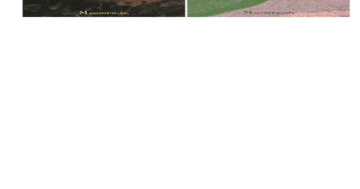 How the Church Has Changed the World | Books | thefloridacatholic.org