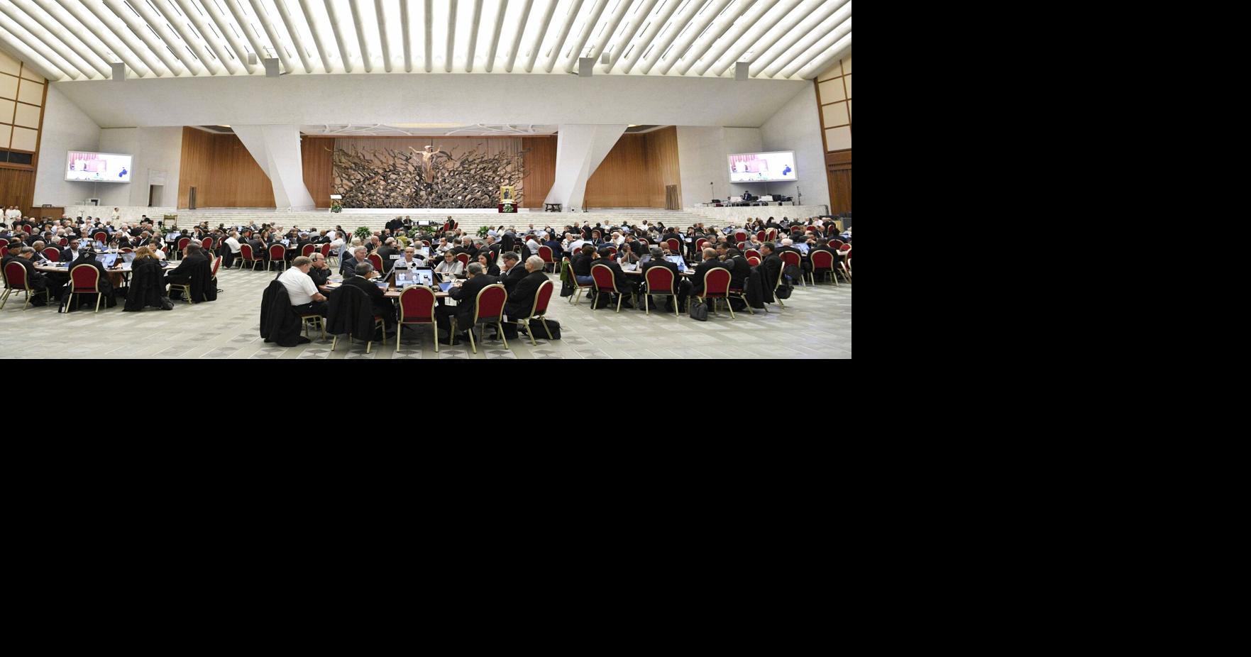 Opinion vs. inspiration: Synod must grapple with concept of 'sensus ...