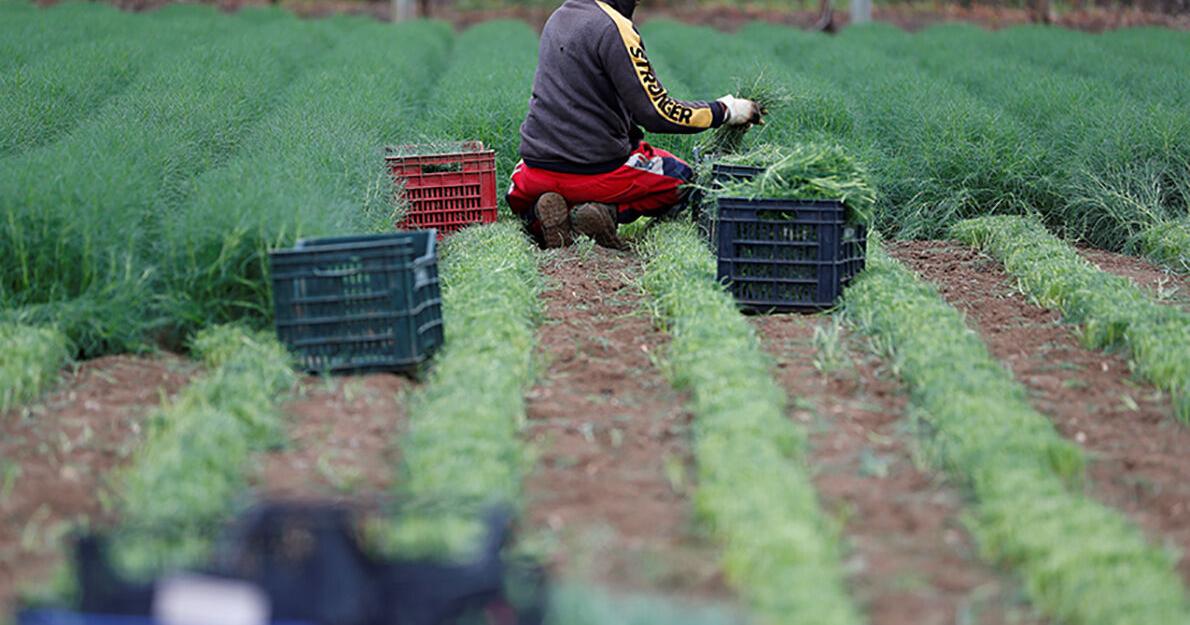 Drive inspires continued advocacy for farmworkers | Florida ...