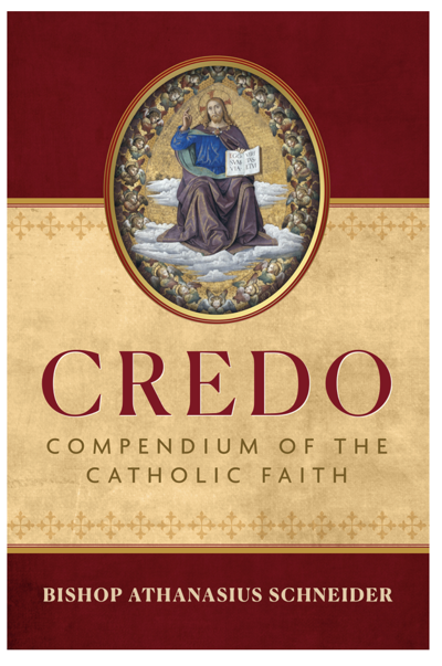 Catholic bishops produce, authorize, and endorse New Compendium of the ...