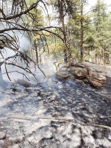 Wildfire off of County Road 77 and U.S. Highway 24 tapped out | Local ...