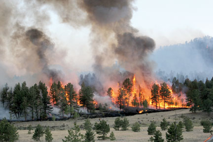 Springer fire | Local News | theflume.com