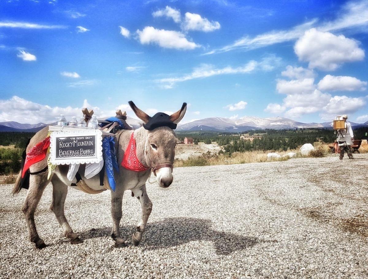 A cold beer just tastes better served by a burro | Local News ...