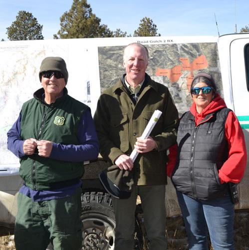 USFS explains mitigation project in Pike National Forest | Local News ...