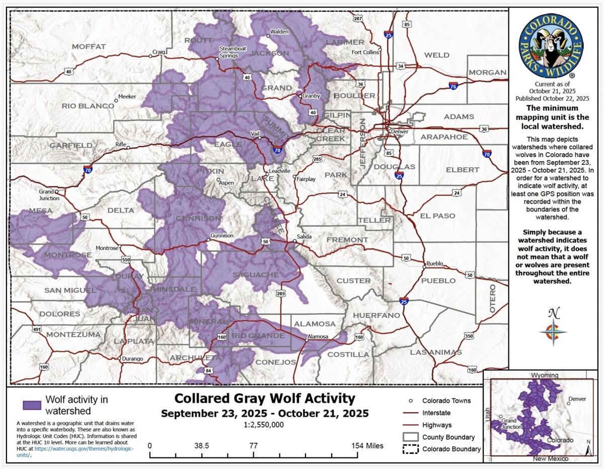 Colorado wolf activity map for October 2025 released | Local News ...