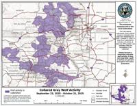 Colorado wolf activity map for October 2025 released | Local News ...