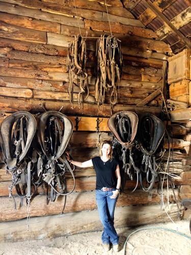 M Lazy C Ranch survives, thrives through the pandemic | Local News ...