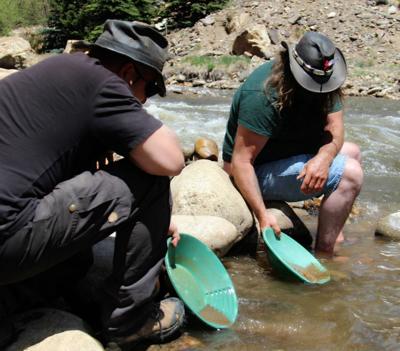 ice cold gold real or fake