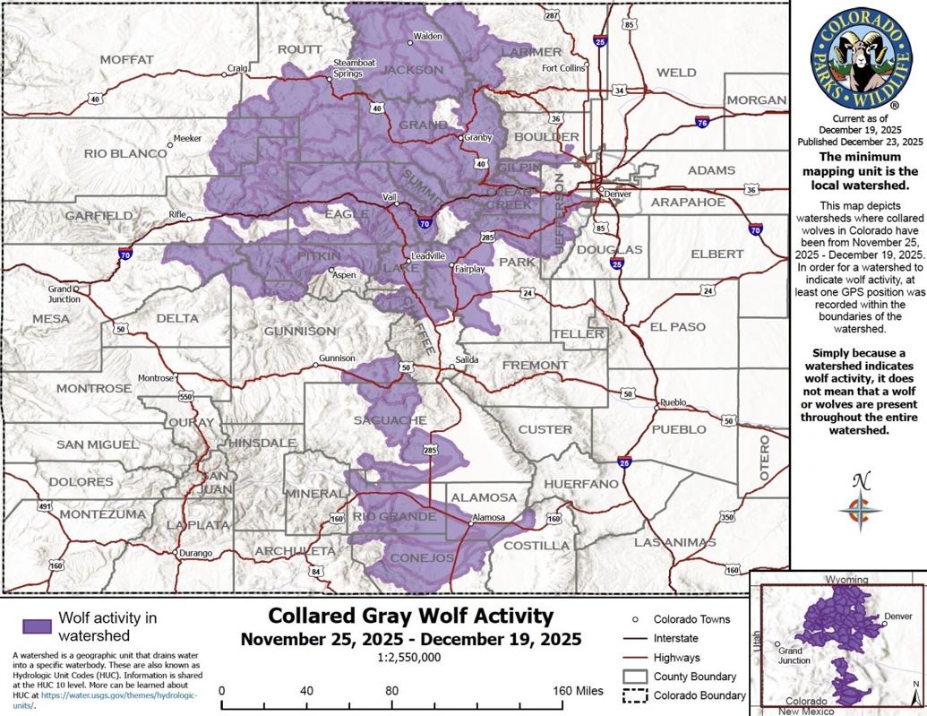 CPW releases latest gray wolf activity map for December | Local News ...