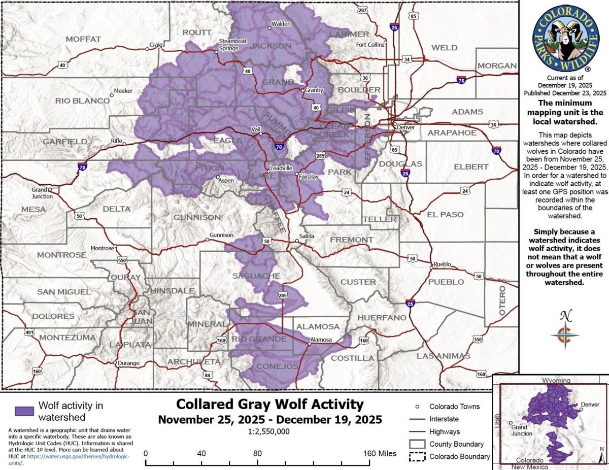CPW releases latest gray wolf activity map for December | Local News ...