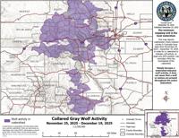 CPW releases latest gray wolf activity map for December | Local News ...