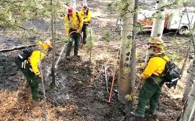 Firefighters keeping close watch on what’s left of 403 Fire | Free ...