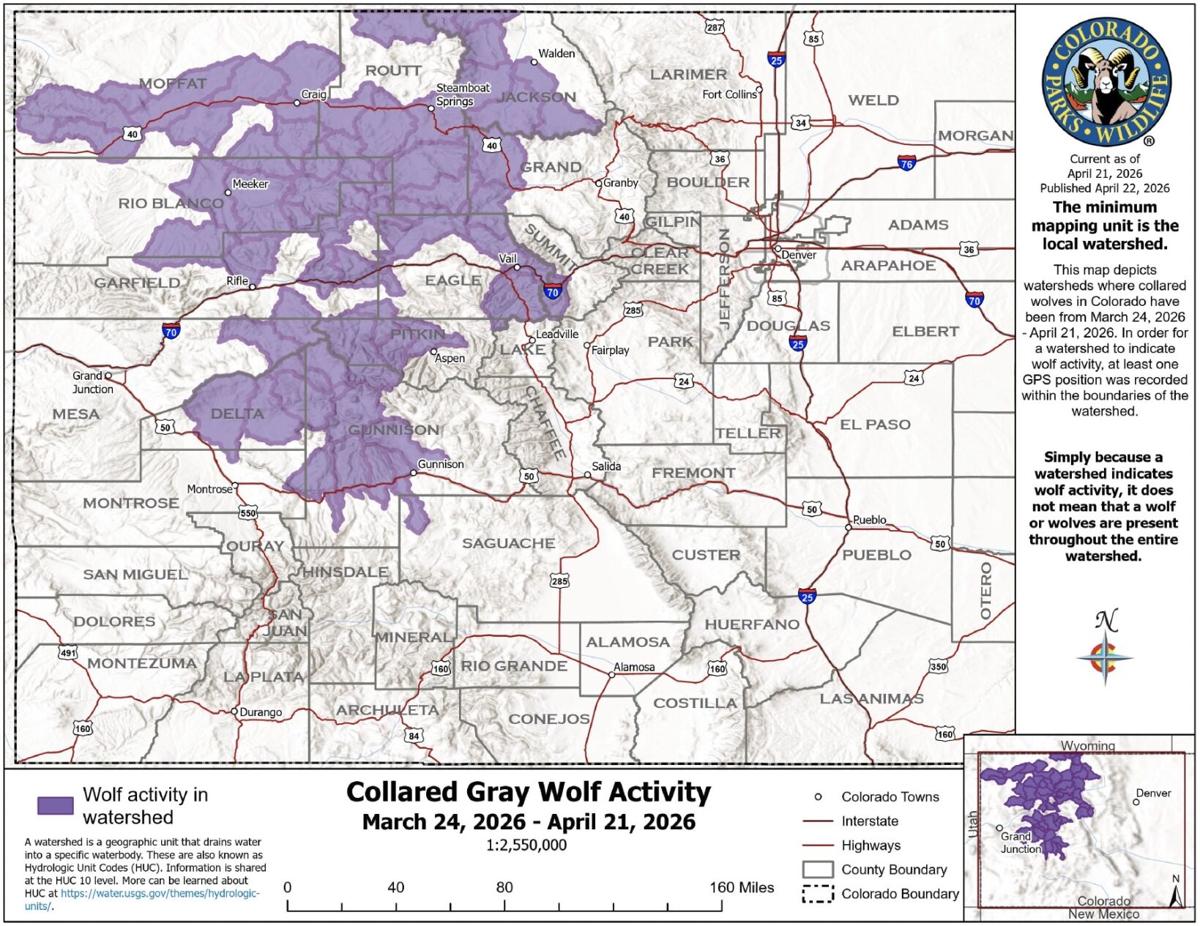 Wolves remain in state’s northwest in recent activity map | Local News ...