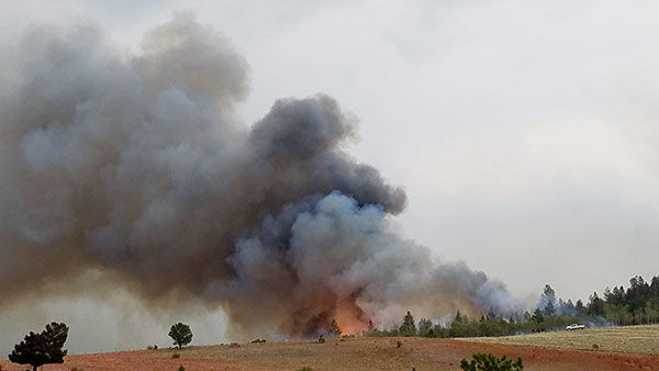 Thorpe Fire engulfs 159 acres in Park County | Local News | theflume.com