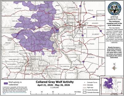No wolves in Park County in latest activity map | Local News | theflume.com