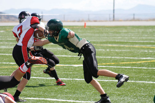 In sports this week | Free Content | theflume.com