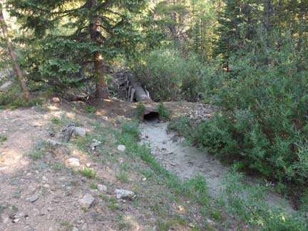 Hiking Lininger Ditch, Beaver Creek and beyond | Sports | theflume.com