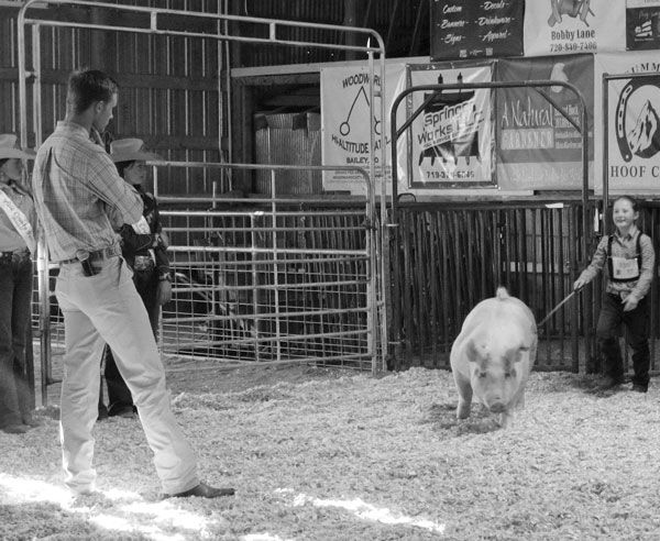 Ruby Bennefield shows Fred and George at the Pig Show | Local News ...