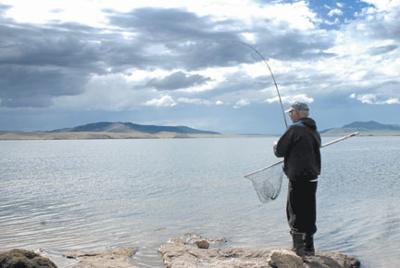 spinney opening hours