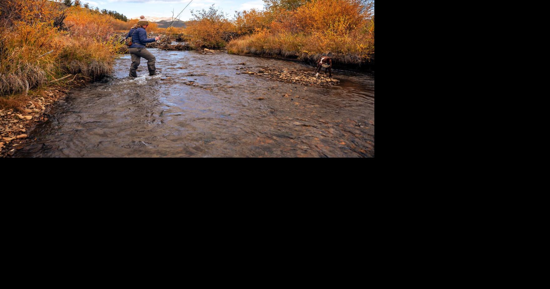 Collard Ranch Opens for Public Hunting and Fishing | Local News ...