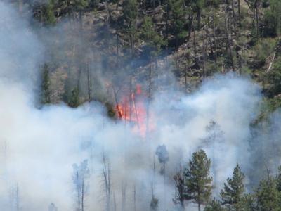 Springer fire containment at 100 percent | Local News | theflume.com