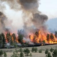 Springer fire | Local News | theflume.com