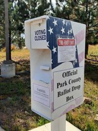 Primary elections are just around the corner: What to know | Local News ...