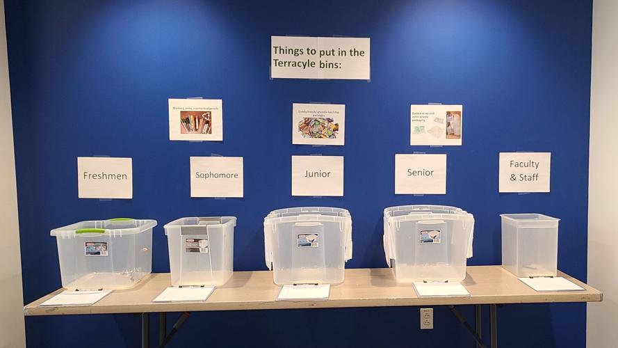 Grizzlies Going Green | News | thefranklinnews.com