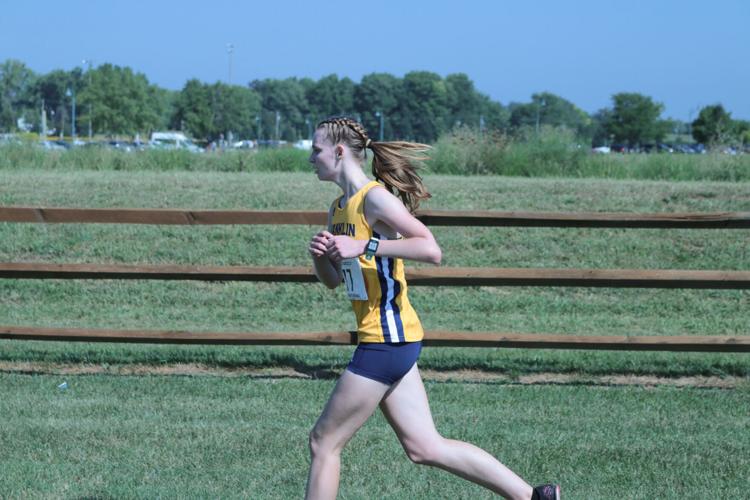 CROSS COUNTRY PREVIEW: Racing ahead | Sports | thefranklinnews.com