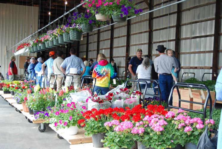 Fresh produce and plants are auctioned