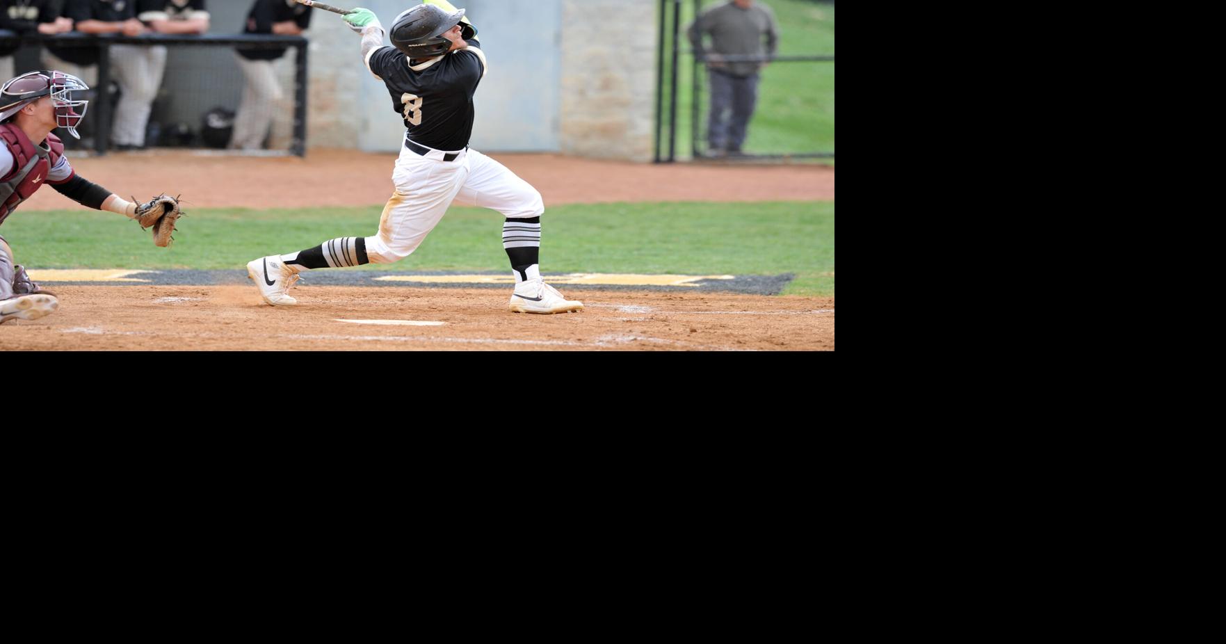 Panthers fall 8-5 to Quakers in ODAC baseball